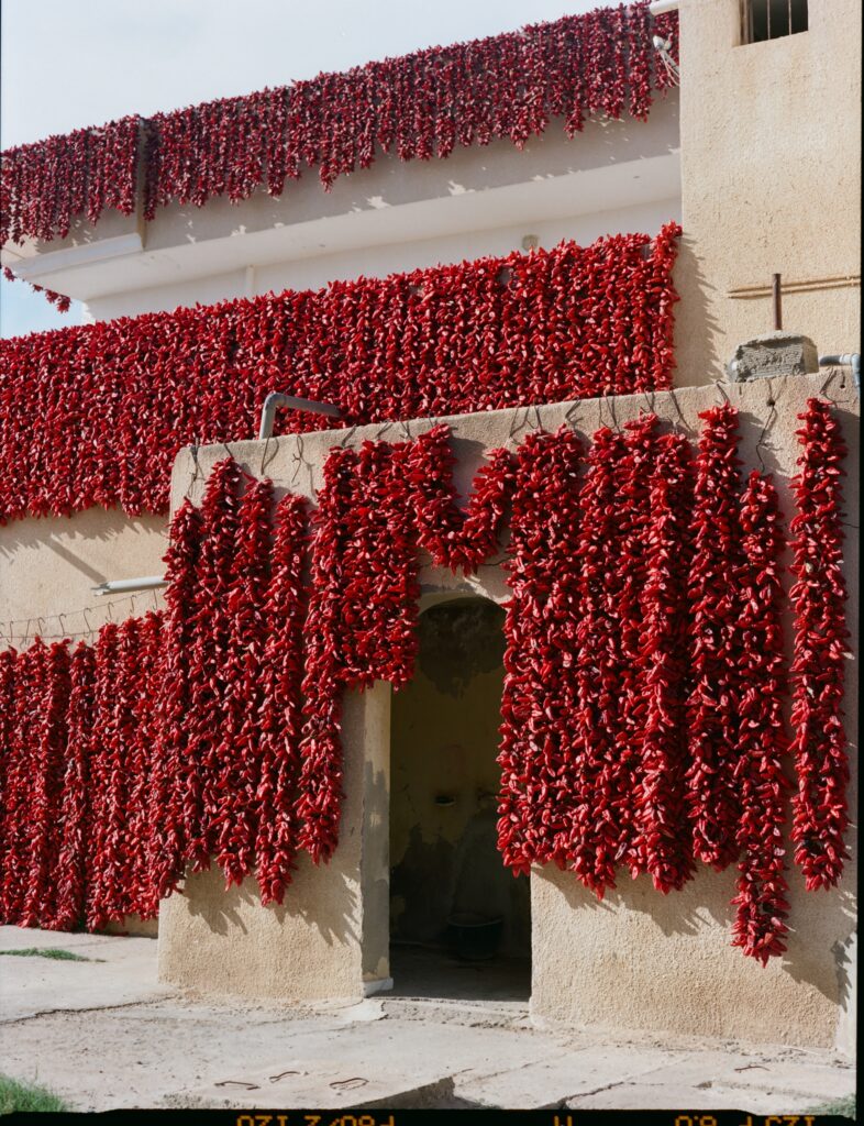 Sam Lamiri is Taking Harissa Global - Arabian Business: Latest News on ...