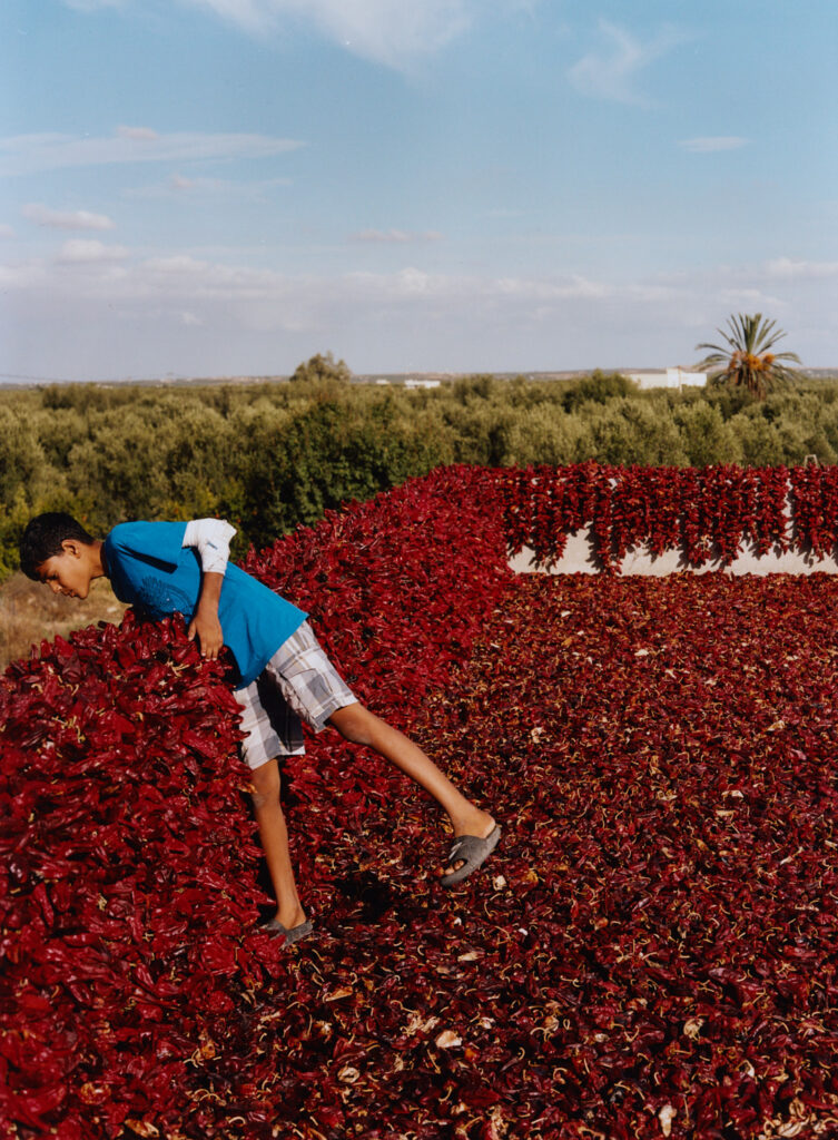 Sam Lamiri is Taking Harissa Global - Arabian Business: Latest News on ...